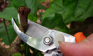 Buy Steel Pruning Tools Garden Hand Prunner from Hangzhou Libi Ang ...