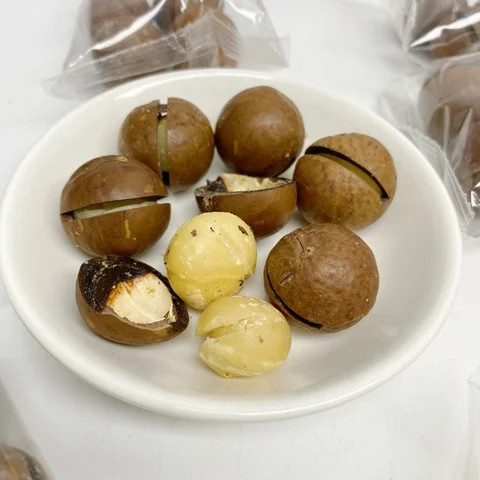 Buy Wholesale High Quality Sweet Milky Flavor Dried Macadamia Nuts Hand ...