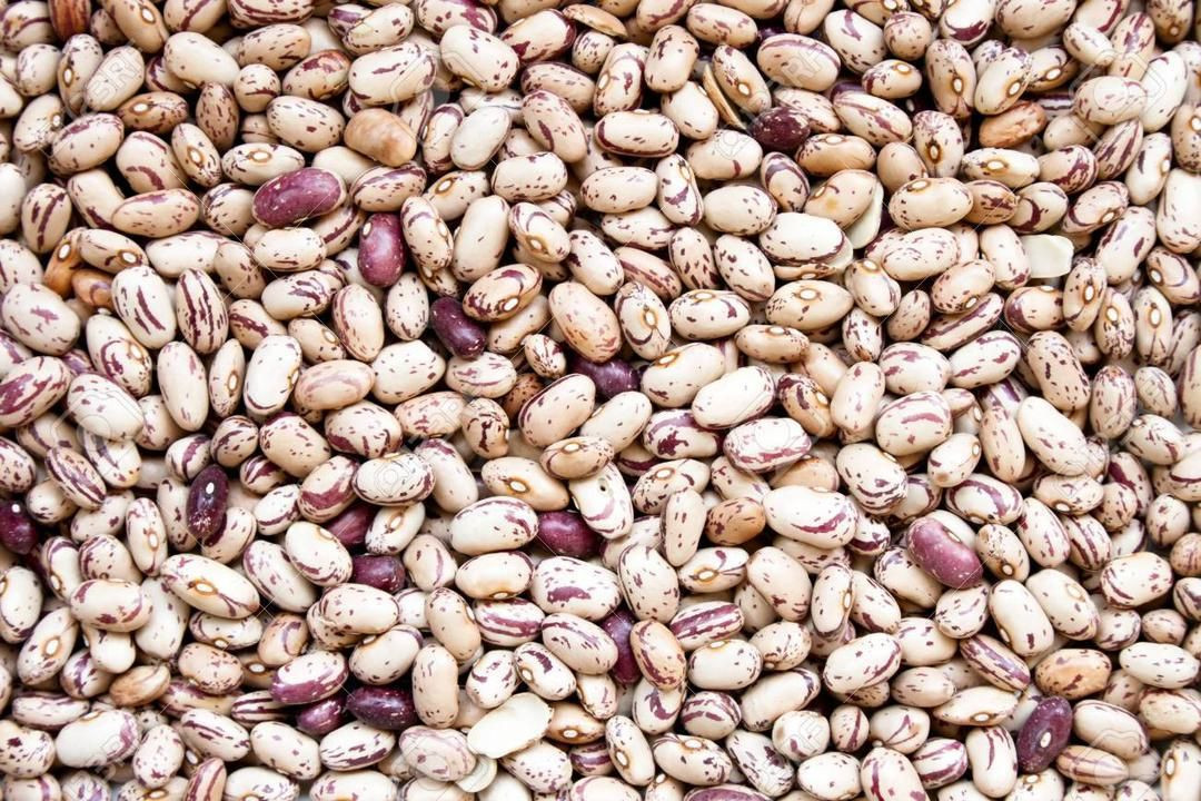 Buy High-quality Beans For Export In Bulk: Export Opportunities from ...