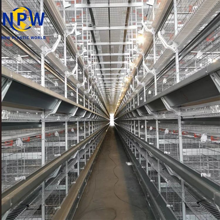 Buy Automatic Broiler Chicken Farming H Type Battery Breeding System ...