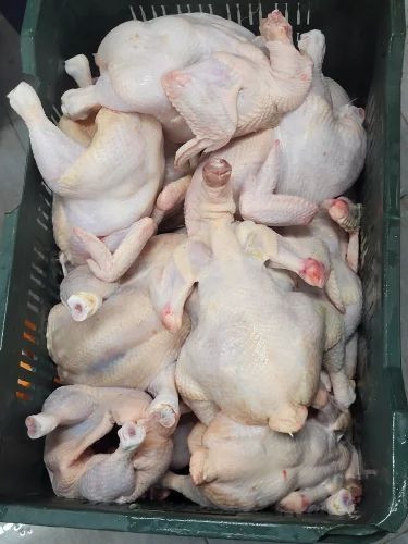 Buy 100% Halal Frozen Whole Chicken – Quality You Can Trust from Weiss ...
