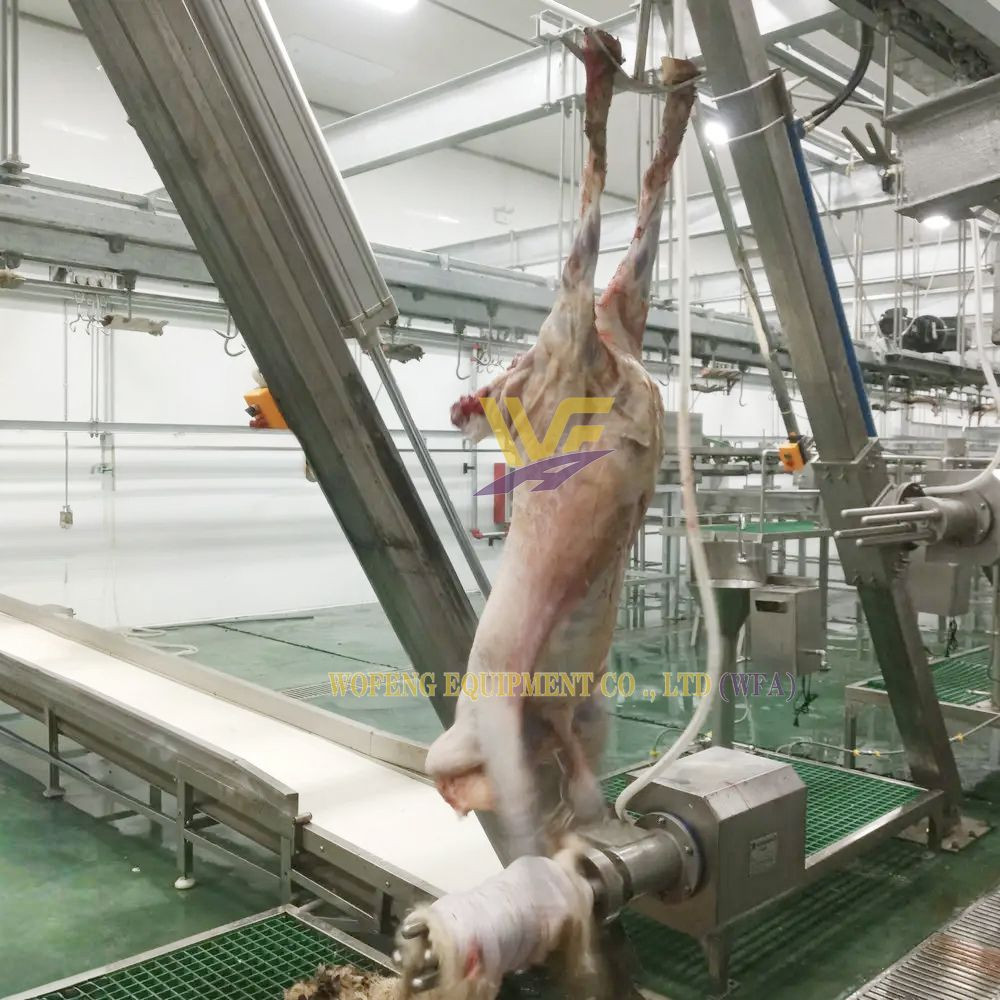 Buy Pneumatic Slope Type Dehiding Machine from WFA SLAUGHTERHOUSE ...