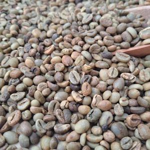 Buy Robusta Grade 2 - Green Coffee Beans from PT Distrik Agro Ekspor ...