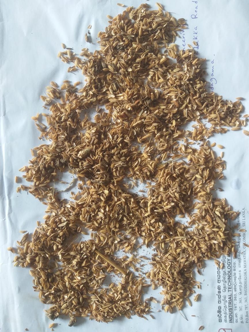 Buy Biomass Pellets from Ceylon Packages, Sri Lanka | Tradewheel.com