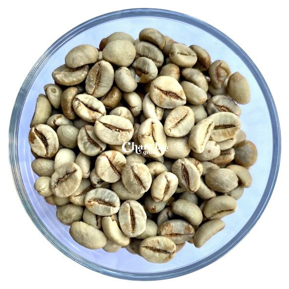 Buy Robusta Fully-washed from Chamlife group trading joint stock ...