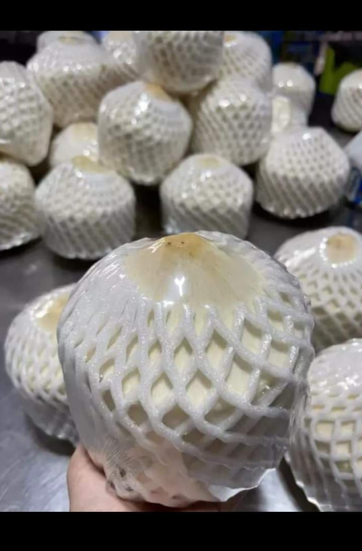 Buy Supplier Fresh Coconut from PT Andalan Mitra Exporindo Trading ...