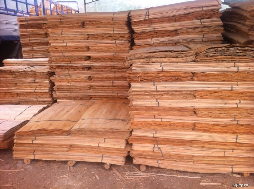 Buy Eucalyptus Core Veneer from GMEX.,JSC, Vietnam | Tradewheel.com