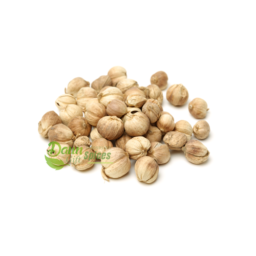 Buy White Cardamom from Daun Gift, Indonesia | Tradewheel.com