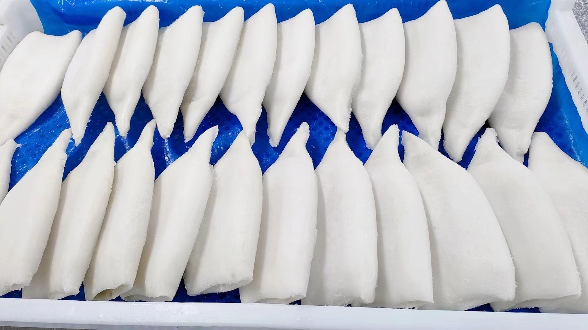 Buy Squid Tube from Yantai Transocean Foodstuff co.,ltd, China ...