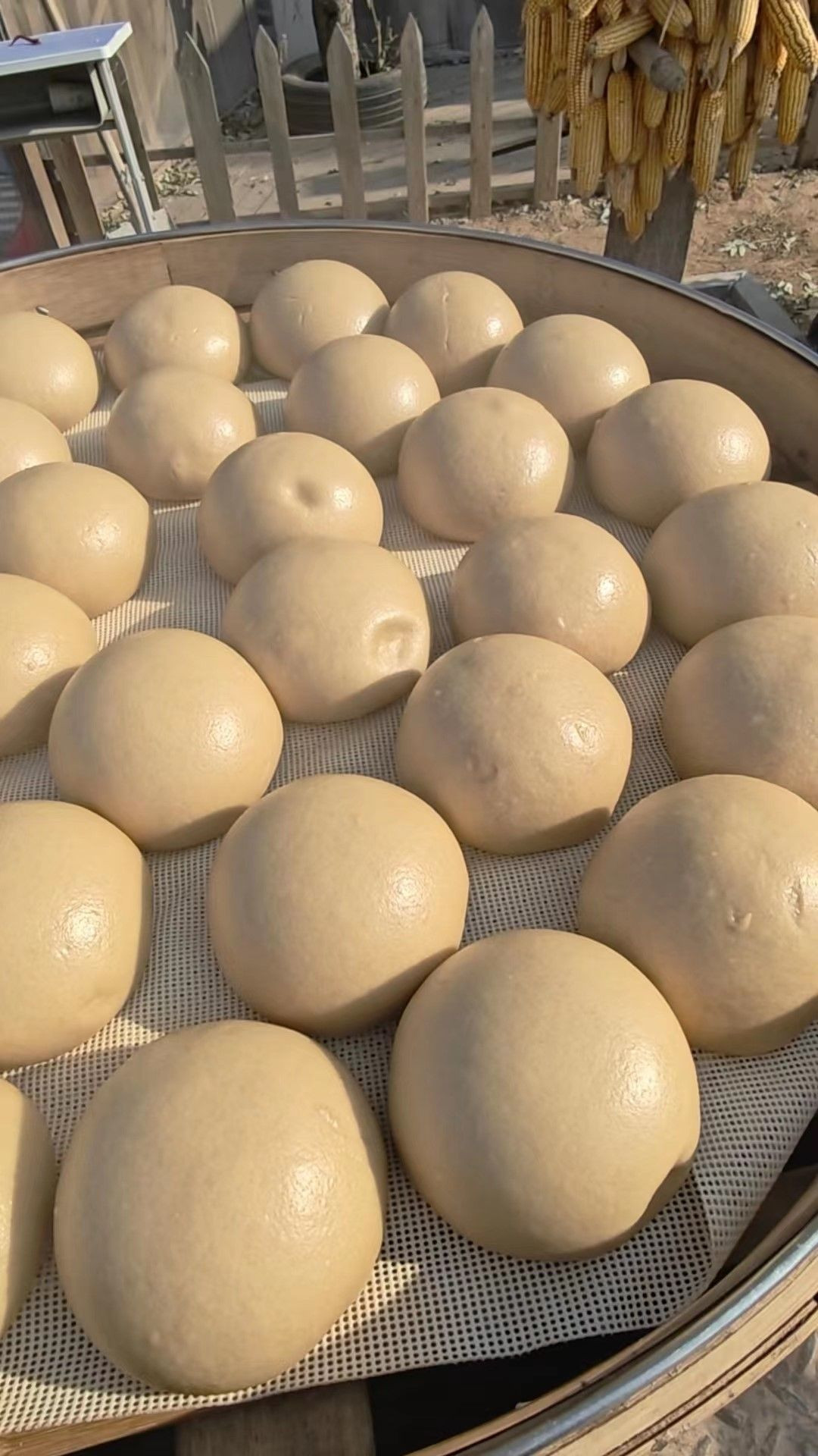 Buy Handmade Whole Wheat Steamed Breads from Xiaohe Food Co., Ltd ...