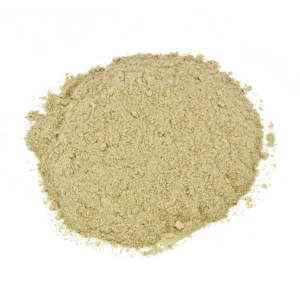 Buy Bulk Supply Cactus Extract Powder Grade A from Bright Future ...