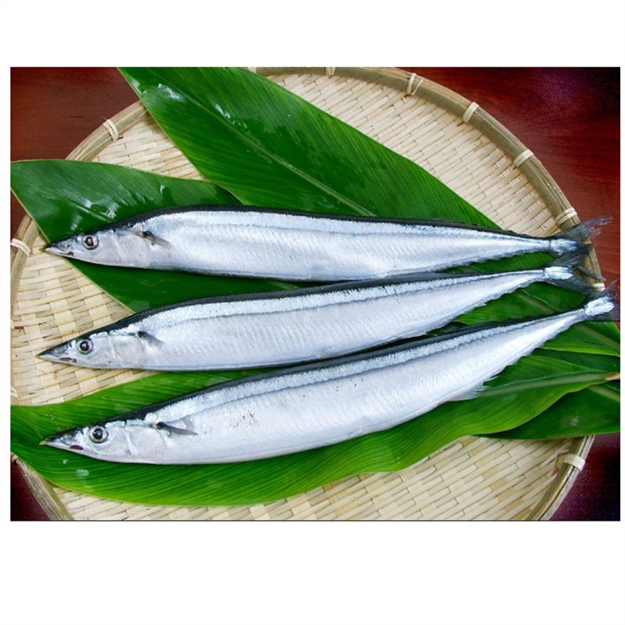 Buy Pacific Saury from Qingdao Boyuan Foods Co., Ltd., China ...
