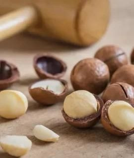 Buy Macadamia Nuts Roasted With Shell from AGRO GROUP ENTERPRISES ...