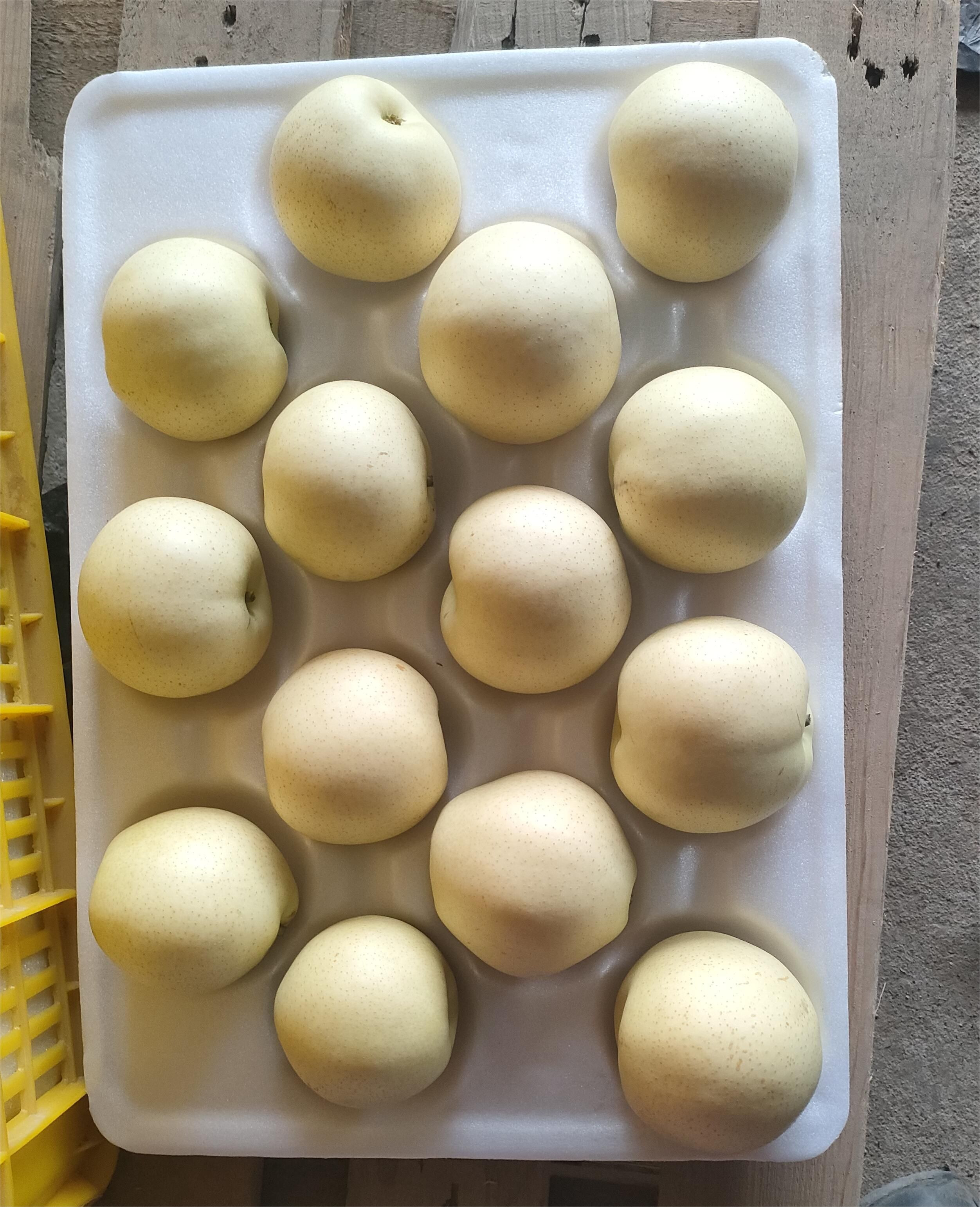 Buy New Crop Of Fresh Pear from Jining Pengjie Food Co.,ltd, China ...