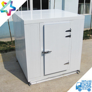 Buy 10ft Portable Walk-in Mobile Cold Room from Jinan Atop Industry ...