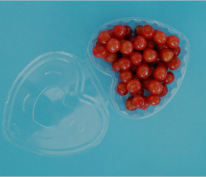 Buy High Quality Pp/ps/pe/evoh/pa High Barrier Sheet Extrusion Line ...