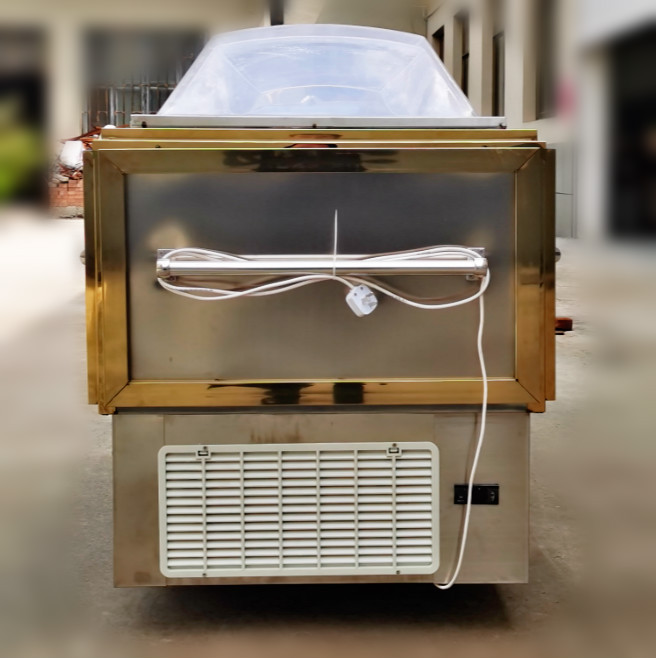 Buy Stainless Steel And Titanium Casket, Mortuary Body Freezer Coffin ...