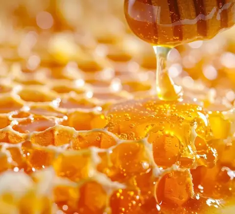 Buy Natural Supplement Bee Propolis Powder Pure Refined Bee Propolis ...