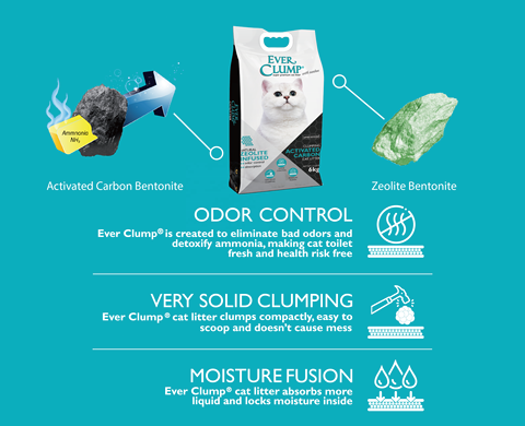 Buy No Urine And Feces Smell Cat Litter-ever Clump from Kind Pet ...