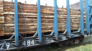 Buy Pine/spruce Flitch Or Rough Blocks Of Timber from SIA "ALBIONUS ...