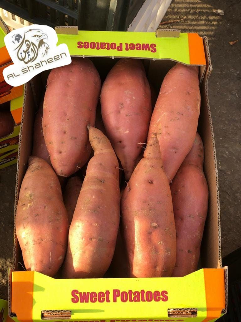 Buy Sweet Potatoes from Agri Crop, Egypt | Tradewheel.com