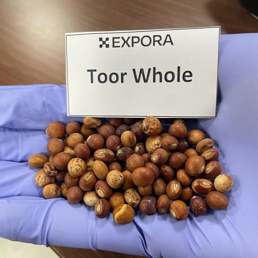 Buy Toor Whole from Expora - Aspirarch Market Platforms Pvt. Ltd ...