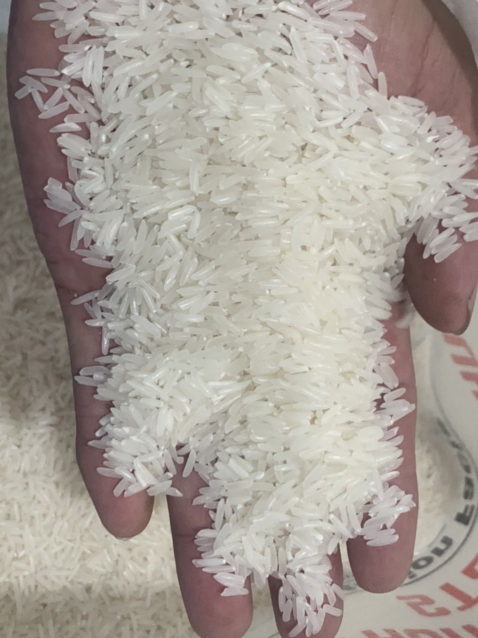 Buy Vietnamese St25 Fragrant Rice from HOANG MINH NHAT CO., STOCK ...