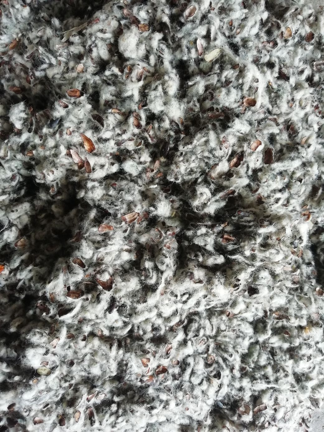 Buy Seed Hull from Bhadrakaali Fibre Pvt. Ltd., India | Tradewheel.com