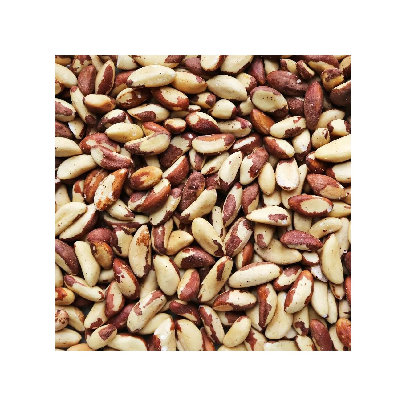 Buy Brazil Nuts Natural Raw Nuts Shelled Mix With Medium Large And ...