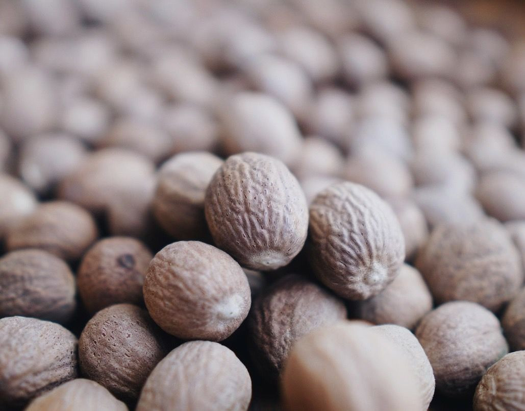 Buy Nutmeg Whole Ab from CV. Bumi Maju Sejahtera, Indonesia ...
