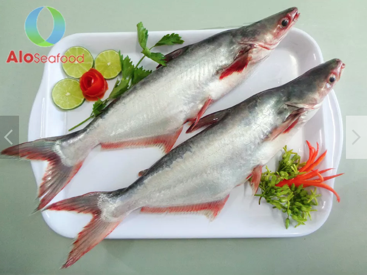 Buy Whole Frozen Pangasius For Export from Qingdao Harmony Foods Co ...