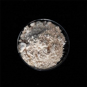 Buy Caustic Burned Magnesia Magnesium Oxide Cement Grade Usage from ...