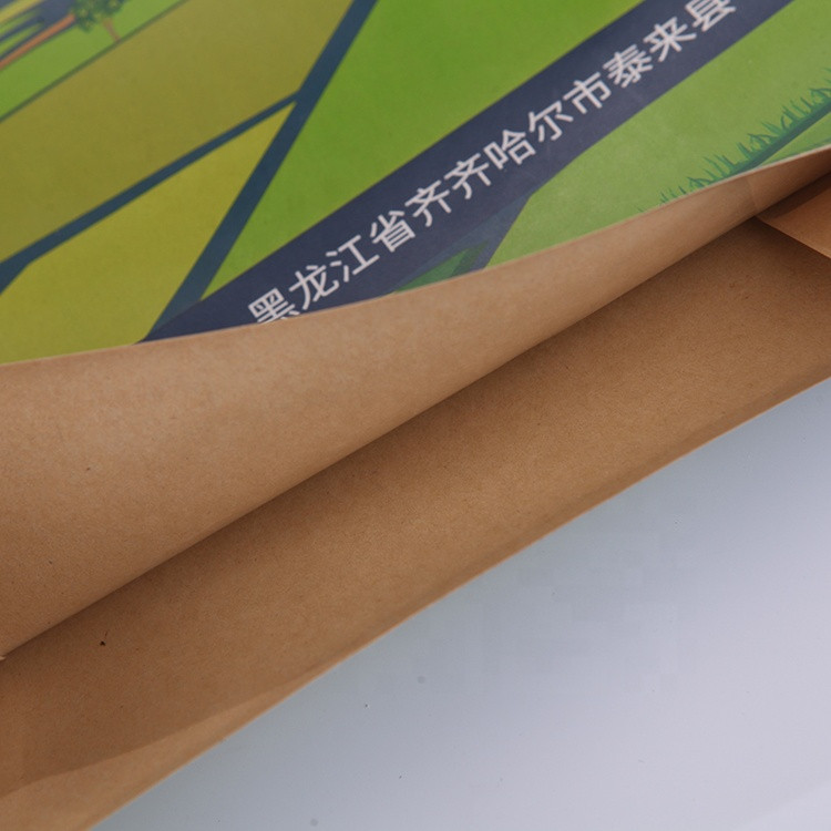 Buy Laminated Rice Bag Kraft Paper For 5kg Rice Packing from Nuoyadi ...