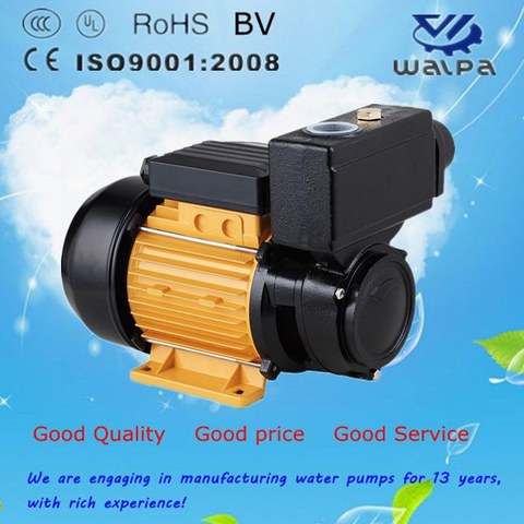 Buy Mini Pump Water Pump With High Head & Good Quality Tps70 0.75hp 100 ...