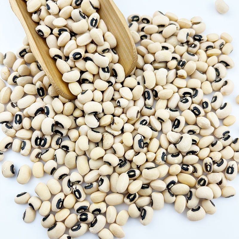 Buy Premium Quality Kidney Beans from Markco Polo Enterprise Pty Ltd ...