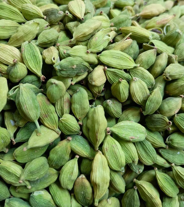 Buy Premium Green Cardamom – Bold Pods, Aromatic & Export Quality from ...