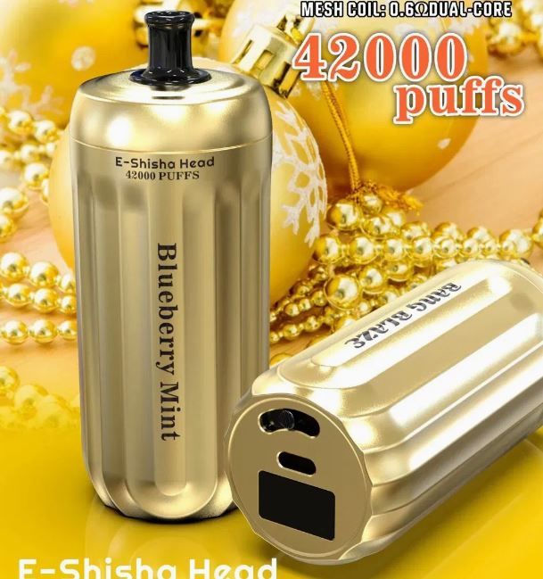 Buy Bang Blaze 42000 Puff Disposable Vape Pod E Shisha Head Mesh Coil ...