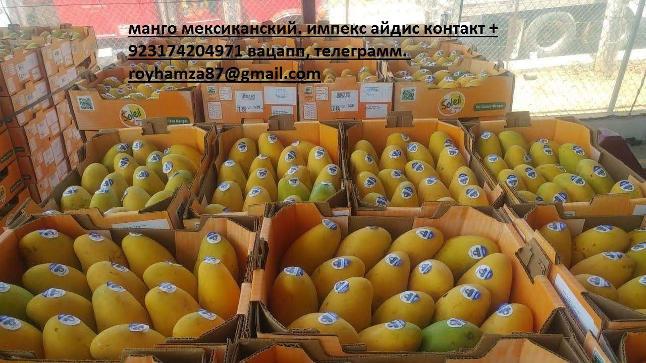 Buy Mango Mexican from hamza traders, Pakistan | Tradewheel.com