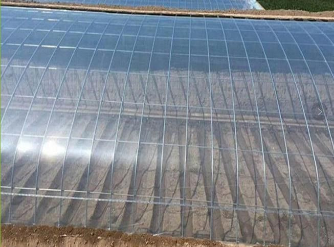 Buy Po Film from Xuzhou Wangtuo Packaging Technology Co., Ltd., China ...