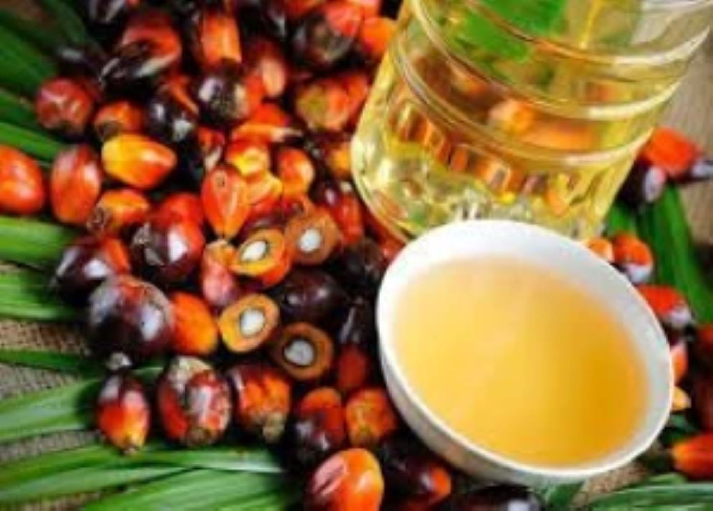 Buy Premium Refined Palm Stearin Oil – Fractionated Red Palm Stearin ...