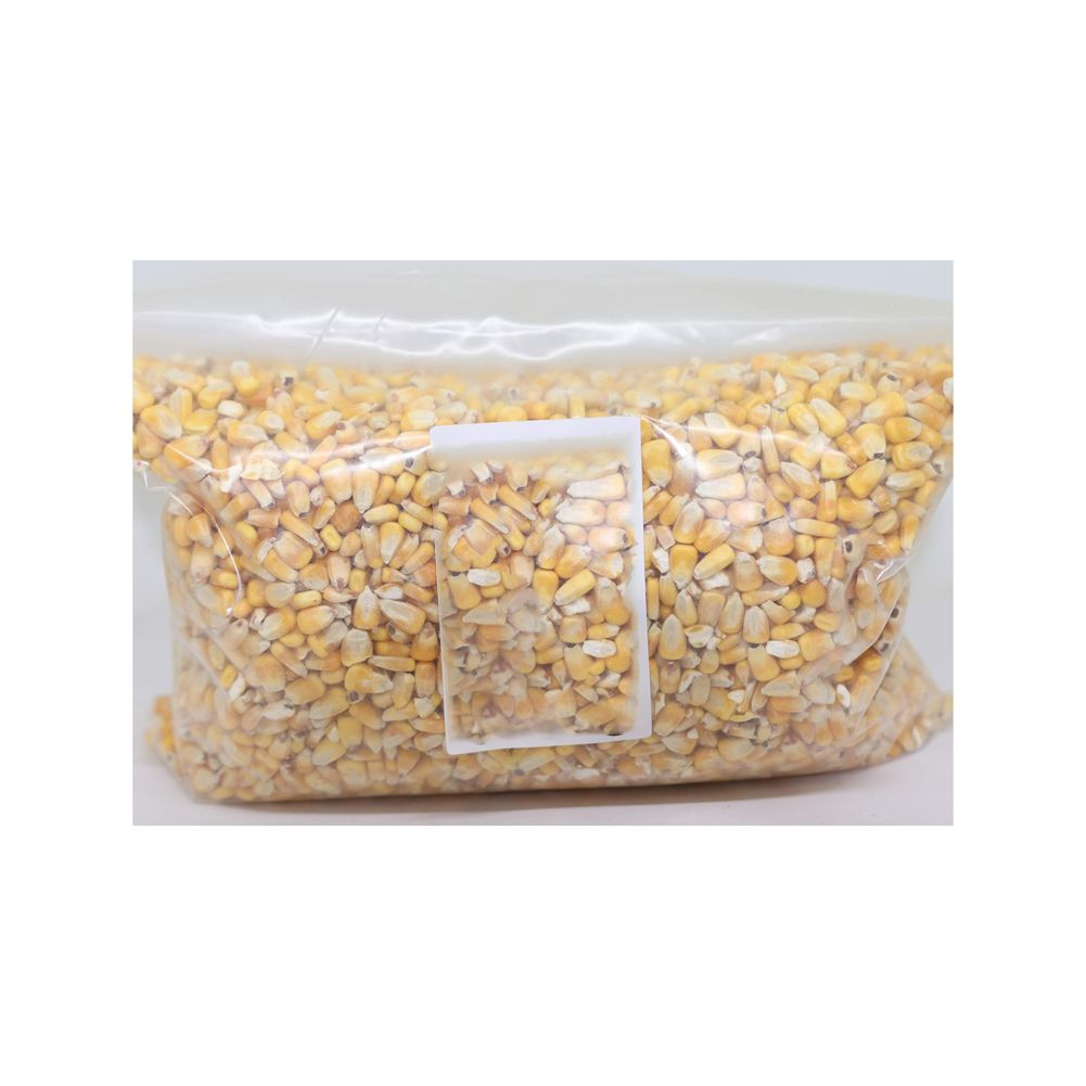Buy Sweet Yellow Corn Wholesale from Kertland KFT, Hungary | Tradewheel.com
