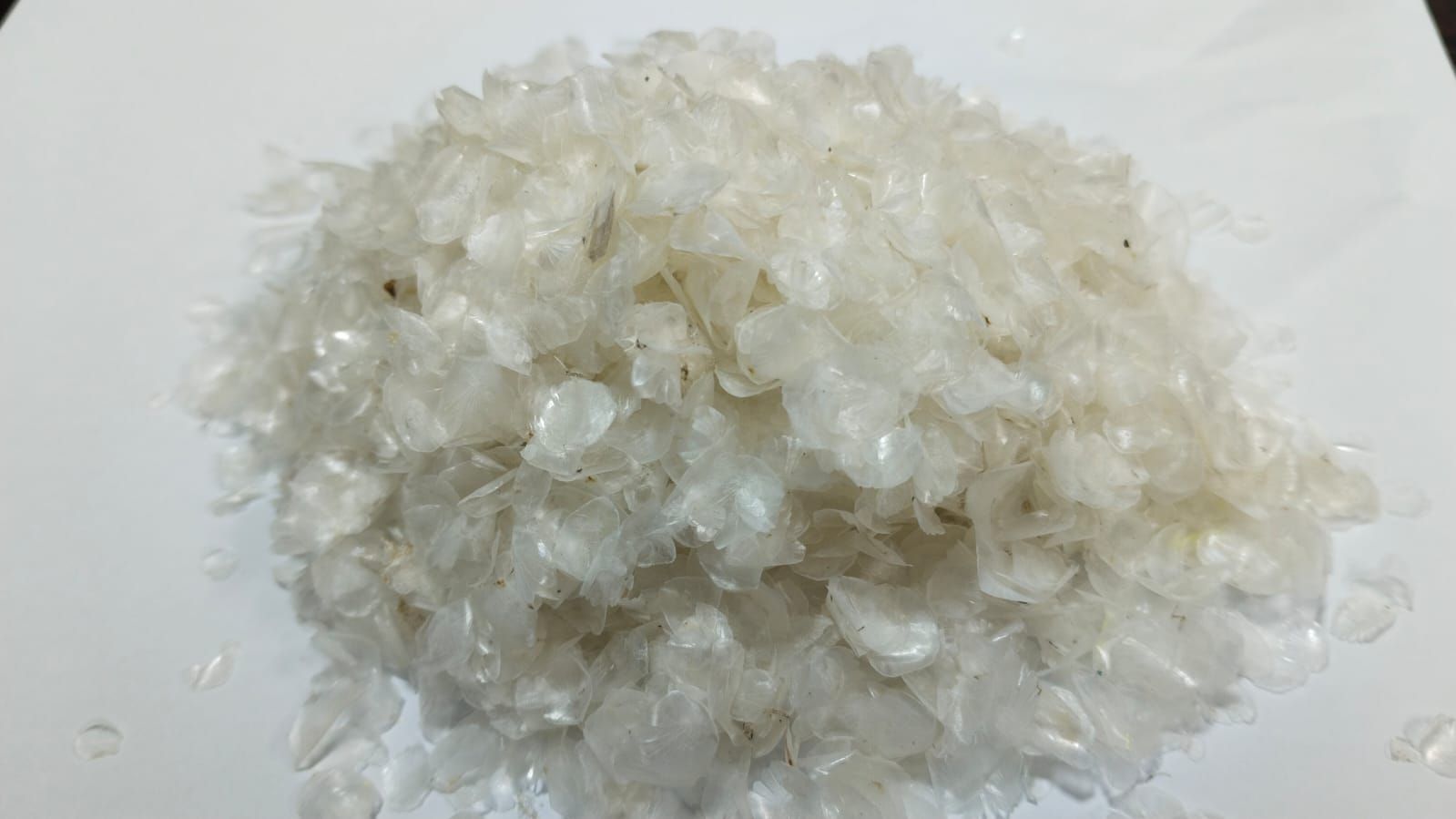 Buy Deep Sea Fish Scales from Nizona Marine Products Private Limited ...