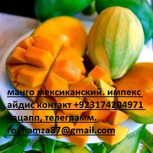 Buy Mango Mexican from hamza traders, Pakistan | Tradewheel.com