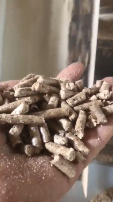 Buy A1 Class %100 Pine Pellet from Rebound Global Pellet, Republic of Türkiye | Tradewheel.com