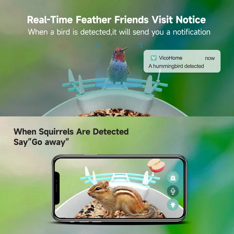 Buy Ai Identify Birds Species Smart Birds Camera Solar Powered Smart ...