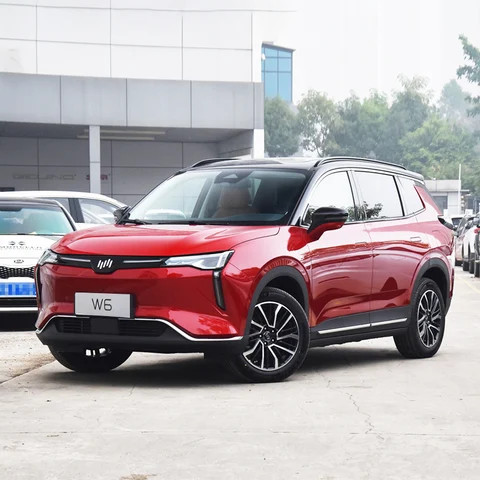 Buy Auto Wm Motor W6 2024 2023 2022 520km Pro All-round High Speed In ...