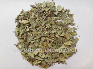 Buy Dried Guava Leaf Guayaba Leaves Folium Psidii Guajavae Wax Apple ...