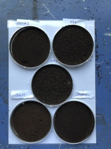 Buy Dust- Pure Ceylon Tea from ZAKIR SHA EXPORTS (PRIVATE) LIMITED, Sri ...