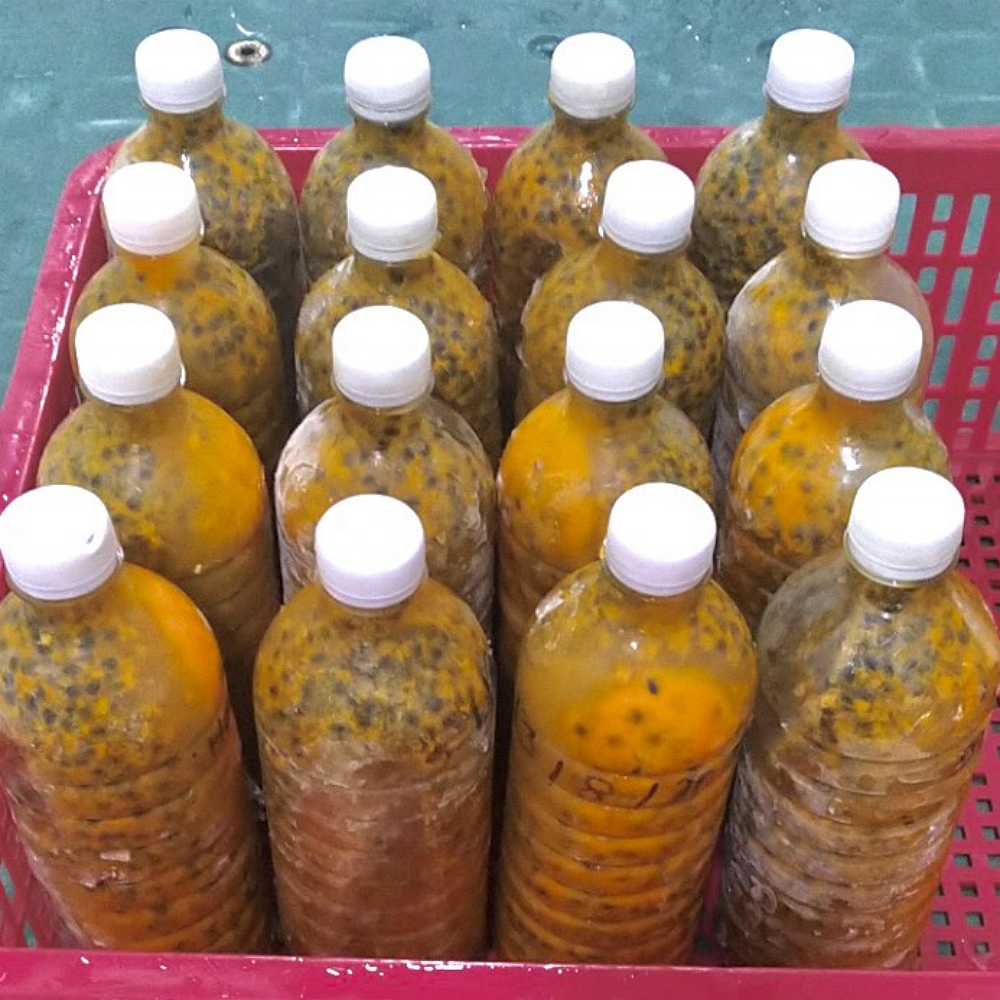 Buy Passion Fruit Concentrate/ Frozen Passion Fruit/ Passion Fruit ...