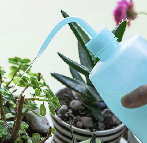 Buy Succulent Watering Bottle 500ml Blue Water Squirt Irrigation Bottle ...